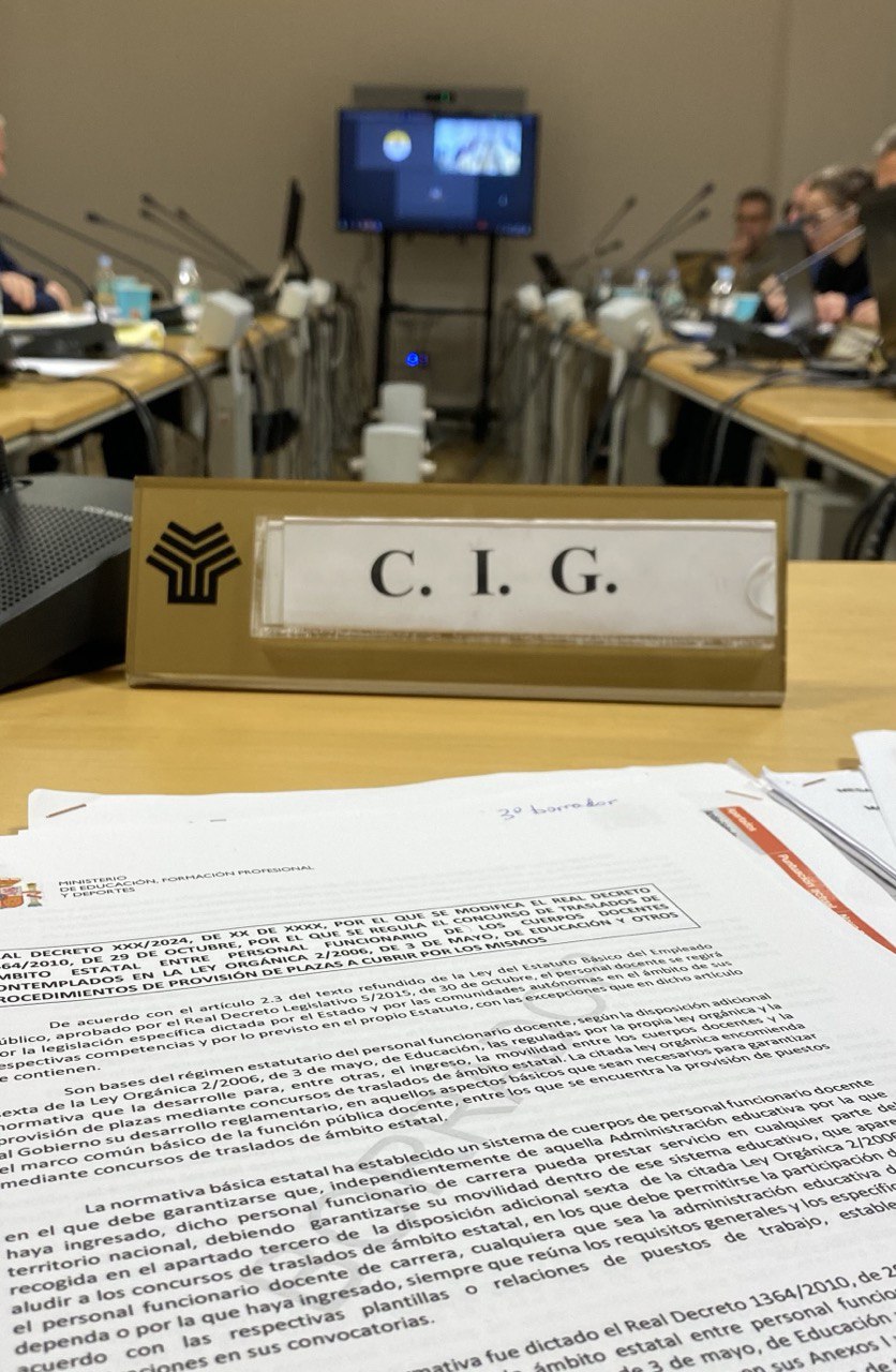 Temas varios presentados pola CIG-Ensino na mesa docente estatal - CIG ...